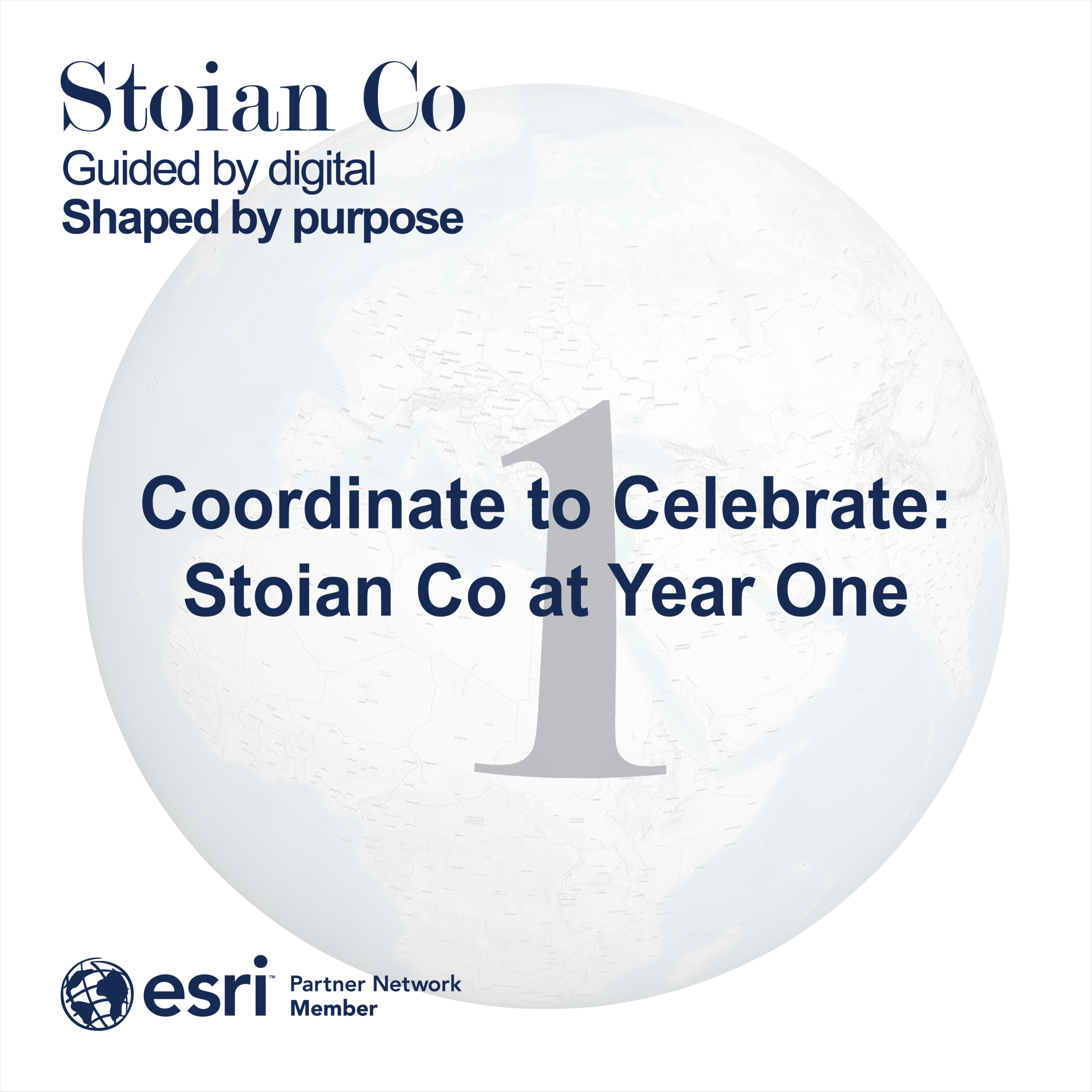 Coordinate to Celebrate: Stoian Co at Year One – Stoian Co